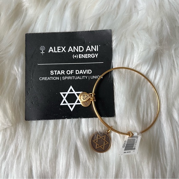 Alex and Ani | Jewelry | Alex And Ani Rafaelian Gold Star Of David Charm Bangle Bracelet | Poshmark
